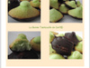 Recette Madeleines "after eight" - 750g.com