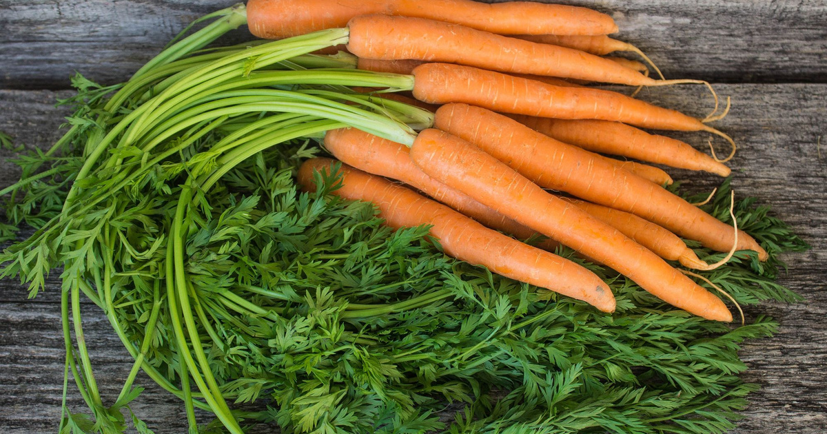 Diaporama "7 choses délicieuses à faire avec vos fanes de carottes ...