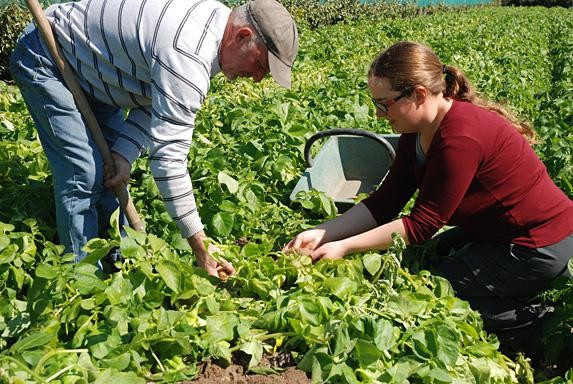 Jessica Tessier, Productrice de pommes de terre primeur à Noirmoutier ...