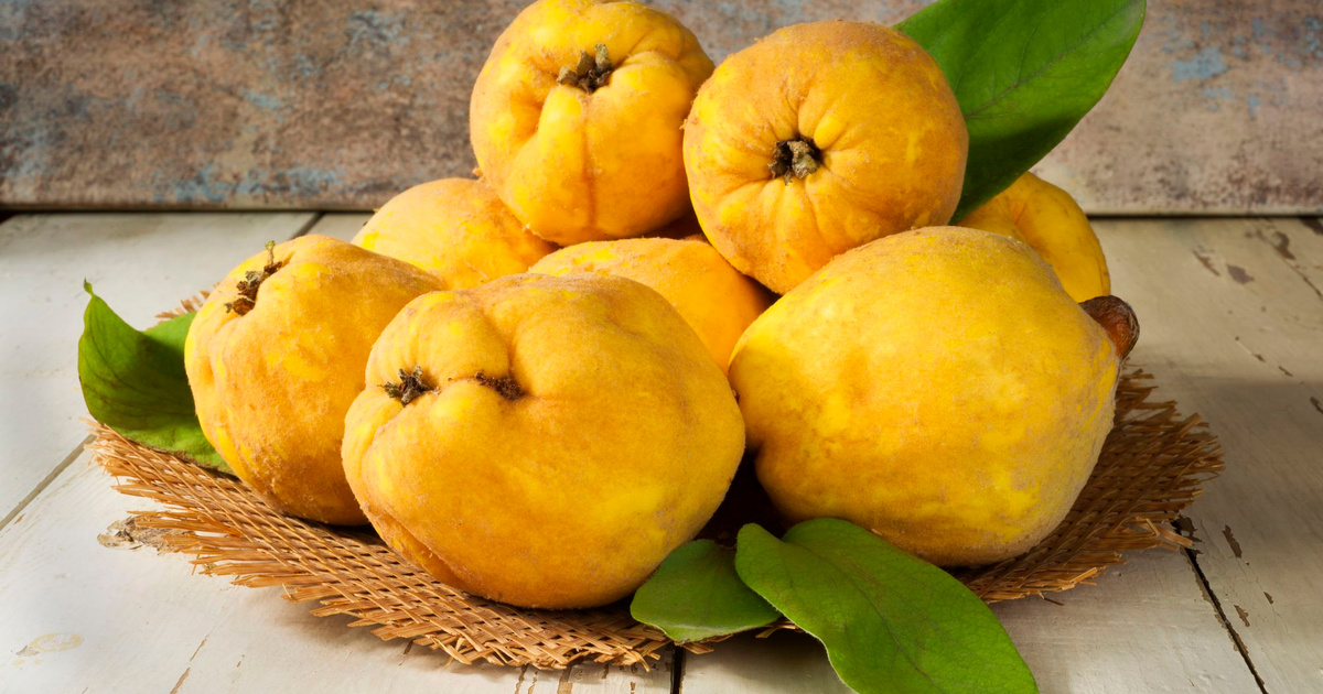 Coing (ingrédient) - Tout savoir sur coing | 750g