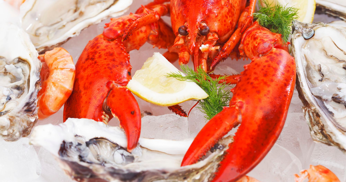 Recettes à base de homard froid | Les recettes les mieux notées