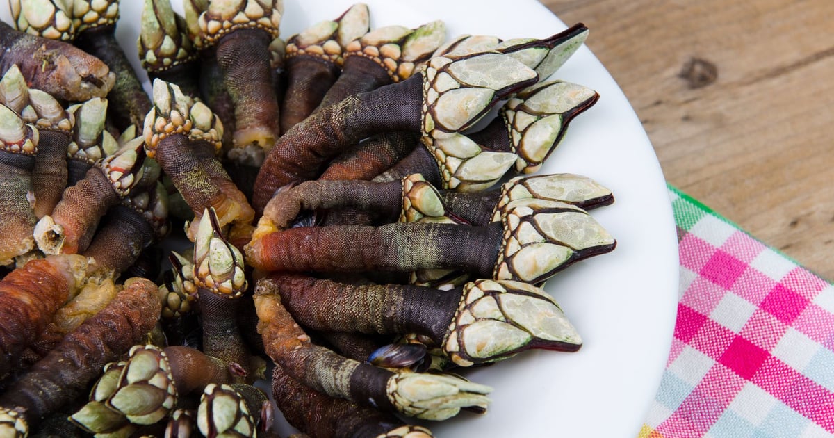 Les connaissez-vous ? 5 produits de la mer à découvrir ou redécouvrir ...