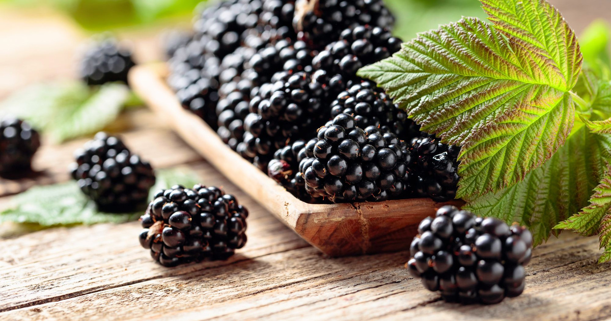 Ces 5 aliments violets à découvrir sans tarder - 750g.com