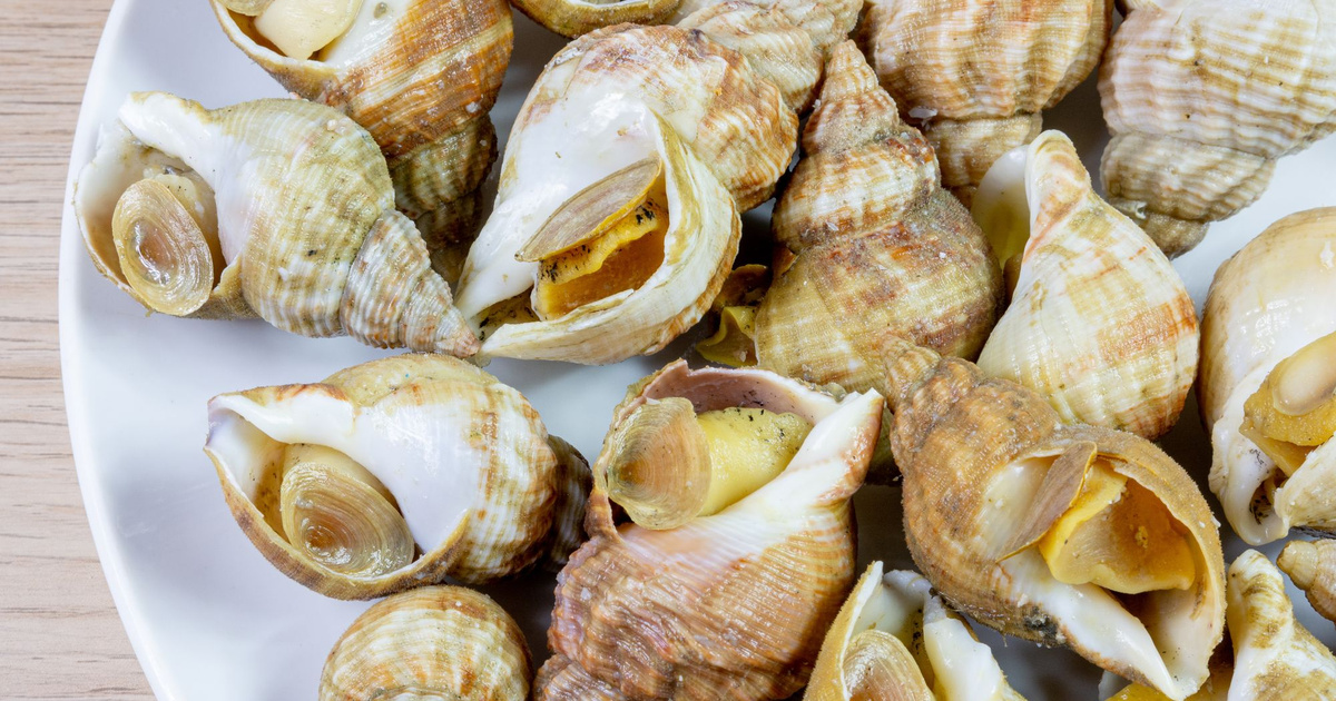 Recette - Bien cuire les bulots en vidéo - 750g.com