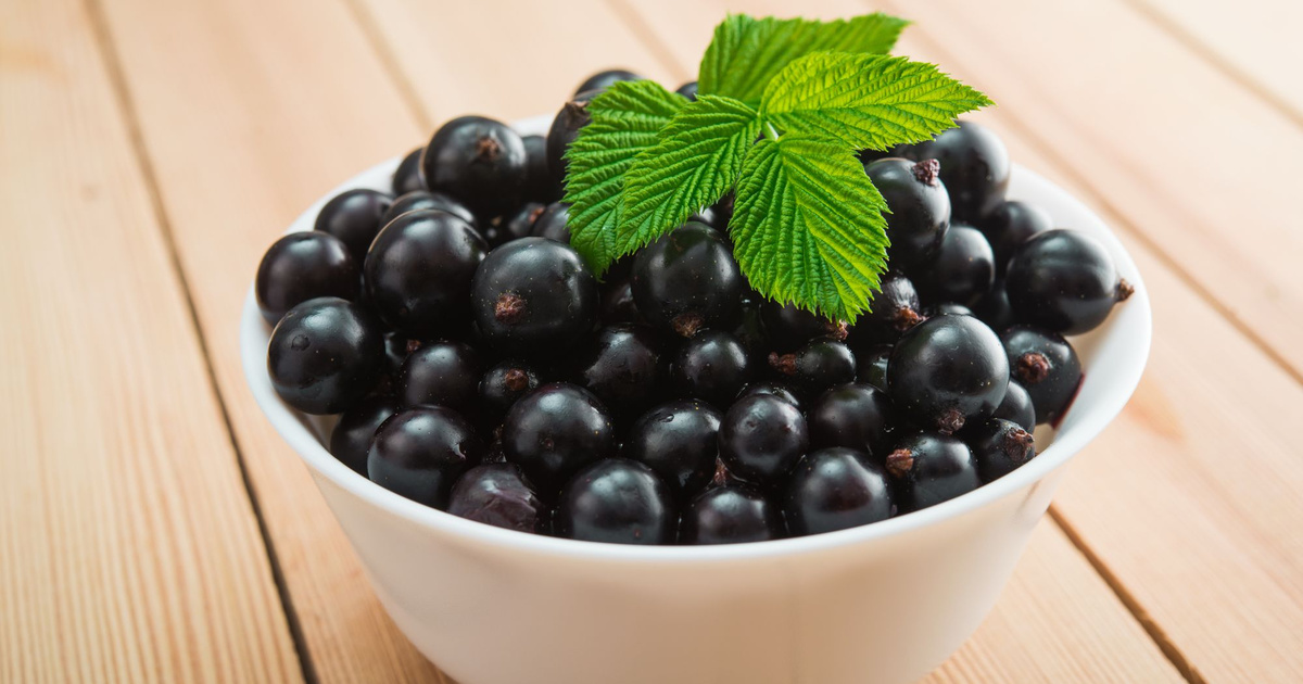 10 idées de recettes à faire avec du cassis - 10 photos - 750g.com