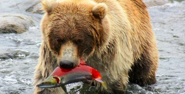 9 ID pour ne pas rentrer bredouille de la pêche cet été - 9 photos ...