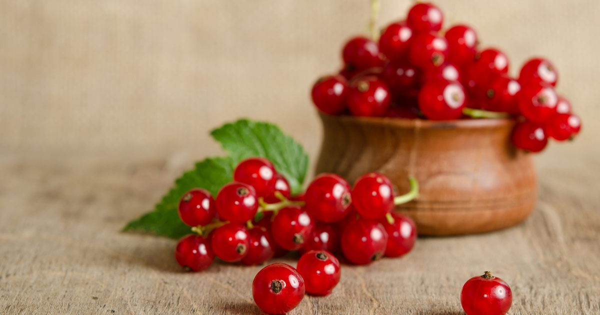 Groseille (ingrédient) - Tout savoir sur groseille | 750g