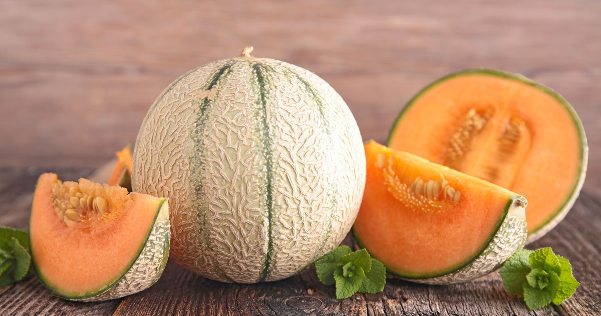 Comment bien choisir son melon ? Un expert répond ! - 750g.com