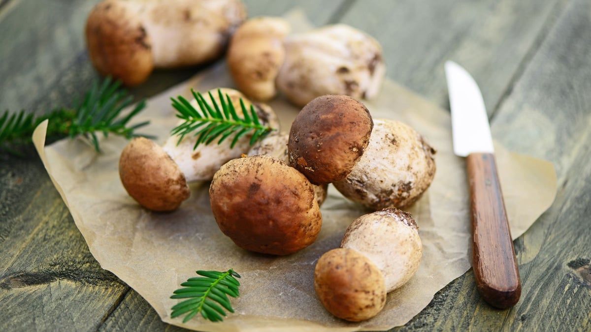 Comment préparer, nettoyer, faire cuire et cuisiner les cèpes