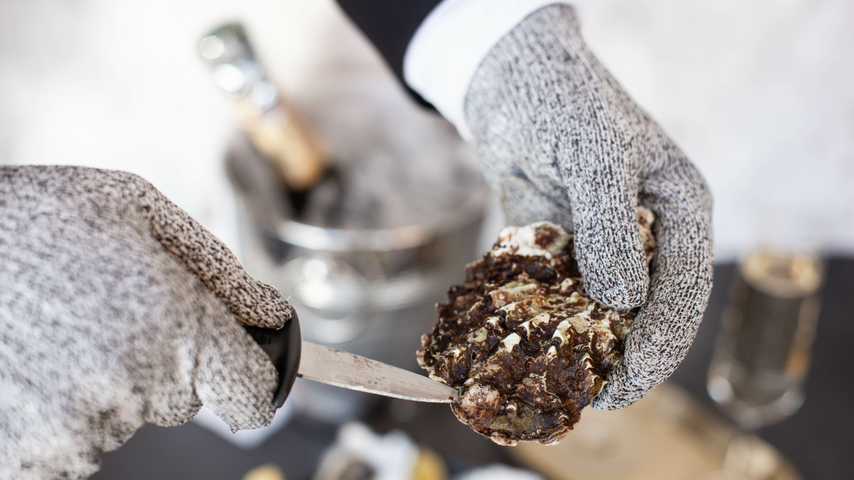 Comment ouvrir les huitres en toute sécurité pour éviter de se blesser ...