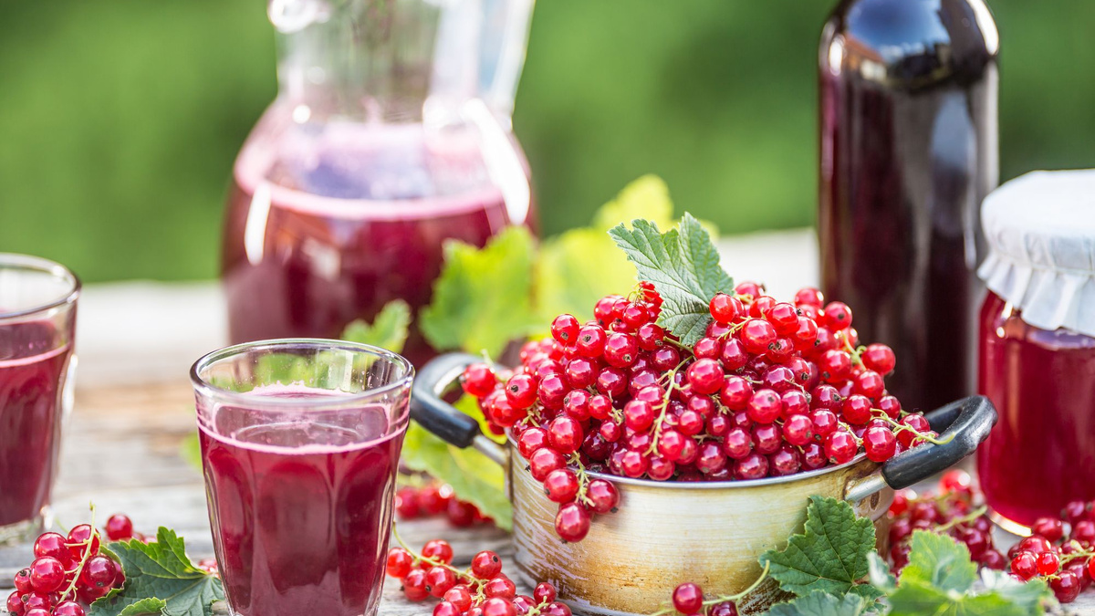 Recettes de sirops de fruits maison - 750g.com