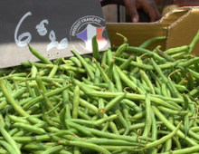 Recette - Haricots blancs en sauce | 750g