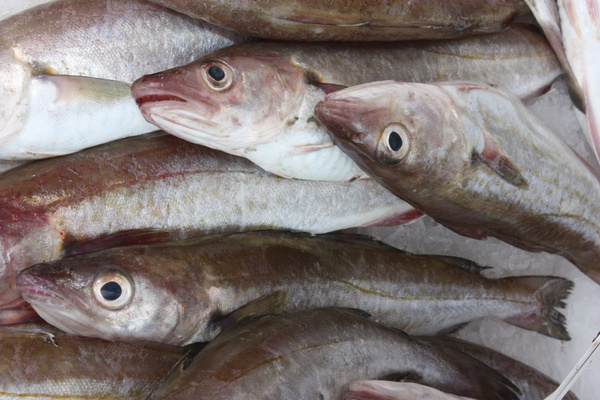 Merlan (ingrédient) - Tout savoir sur le merlan | 750g