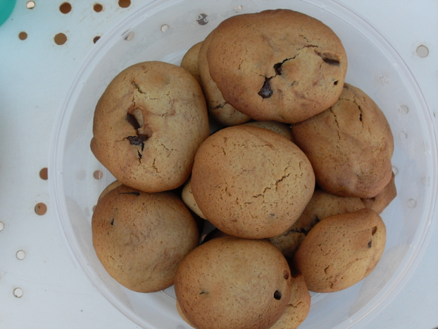Recette - Cookies Miel-Chocolat | 750g