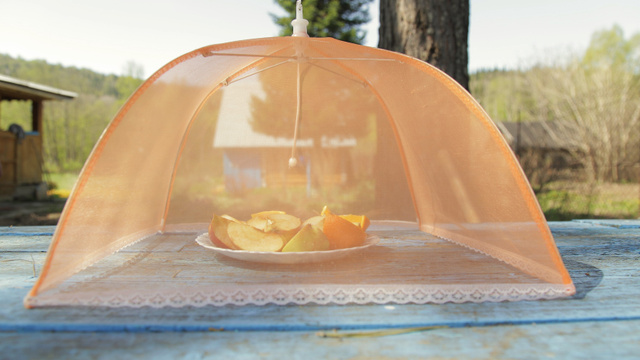 Les astuces pour se débarrasser des moucherons autour des fruits - 750g.com