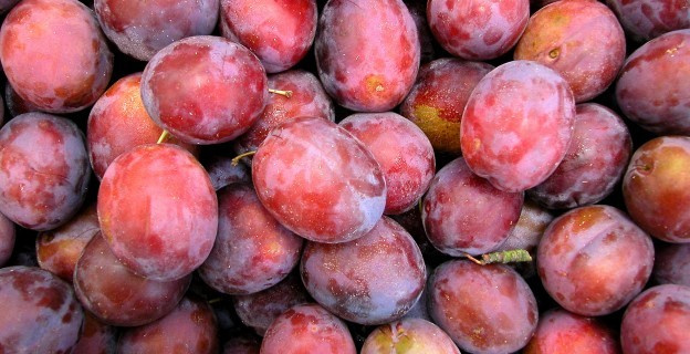 Diaporama "10 choses à savoir sur les prunes" - Comment les choisir ...