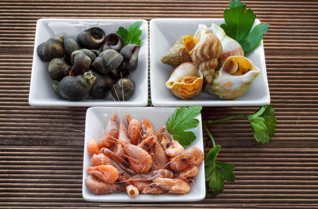 Diaporama "10 aliments à consommer pour réussir ses examens" - Le bigorneau - 750g.com